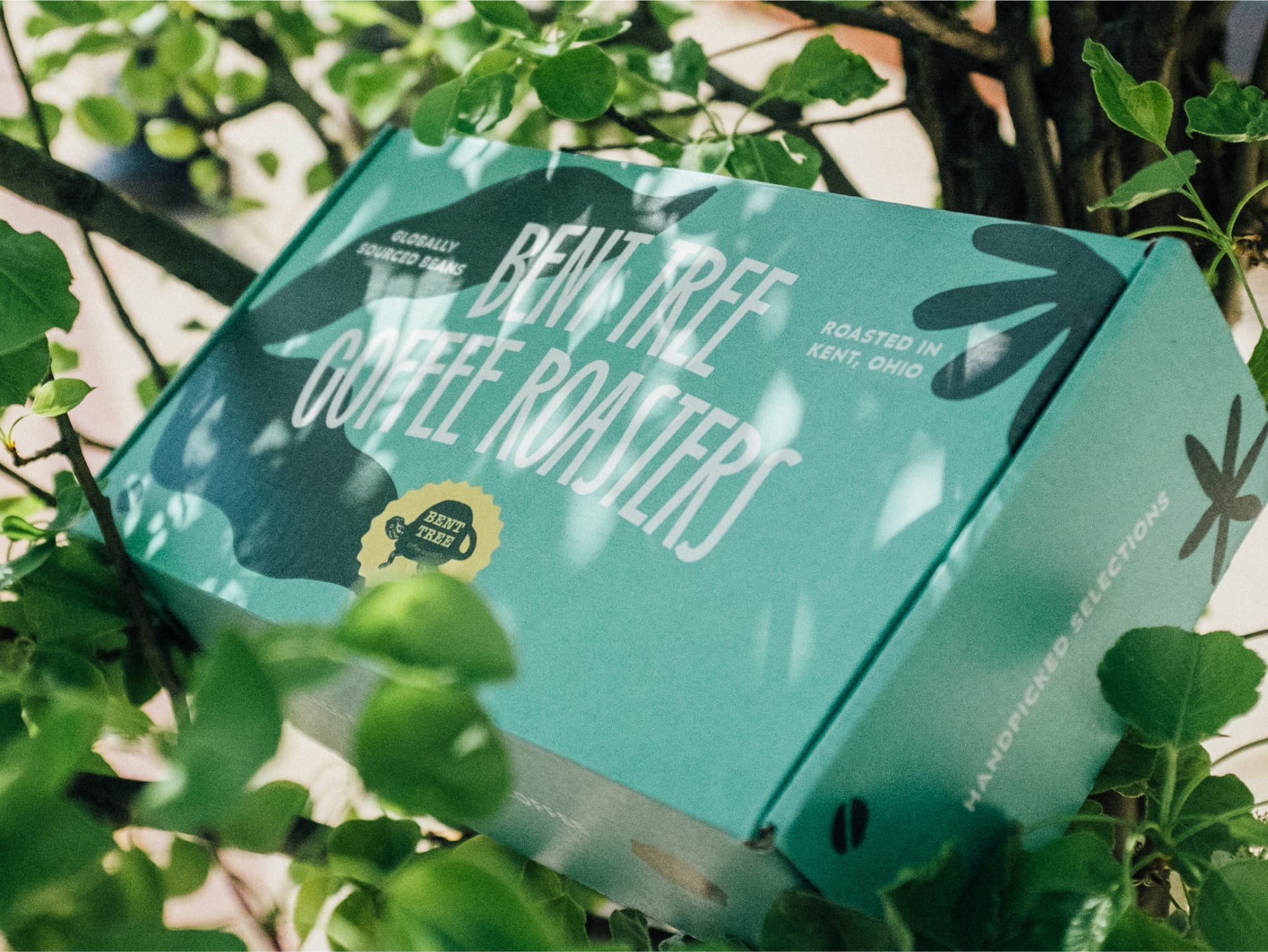 Bent Tree Coffee Roasters – Each+Every